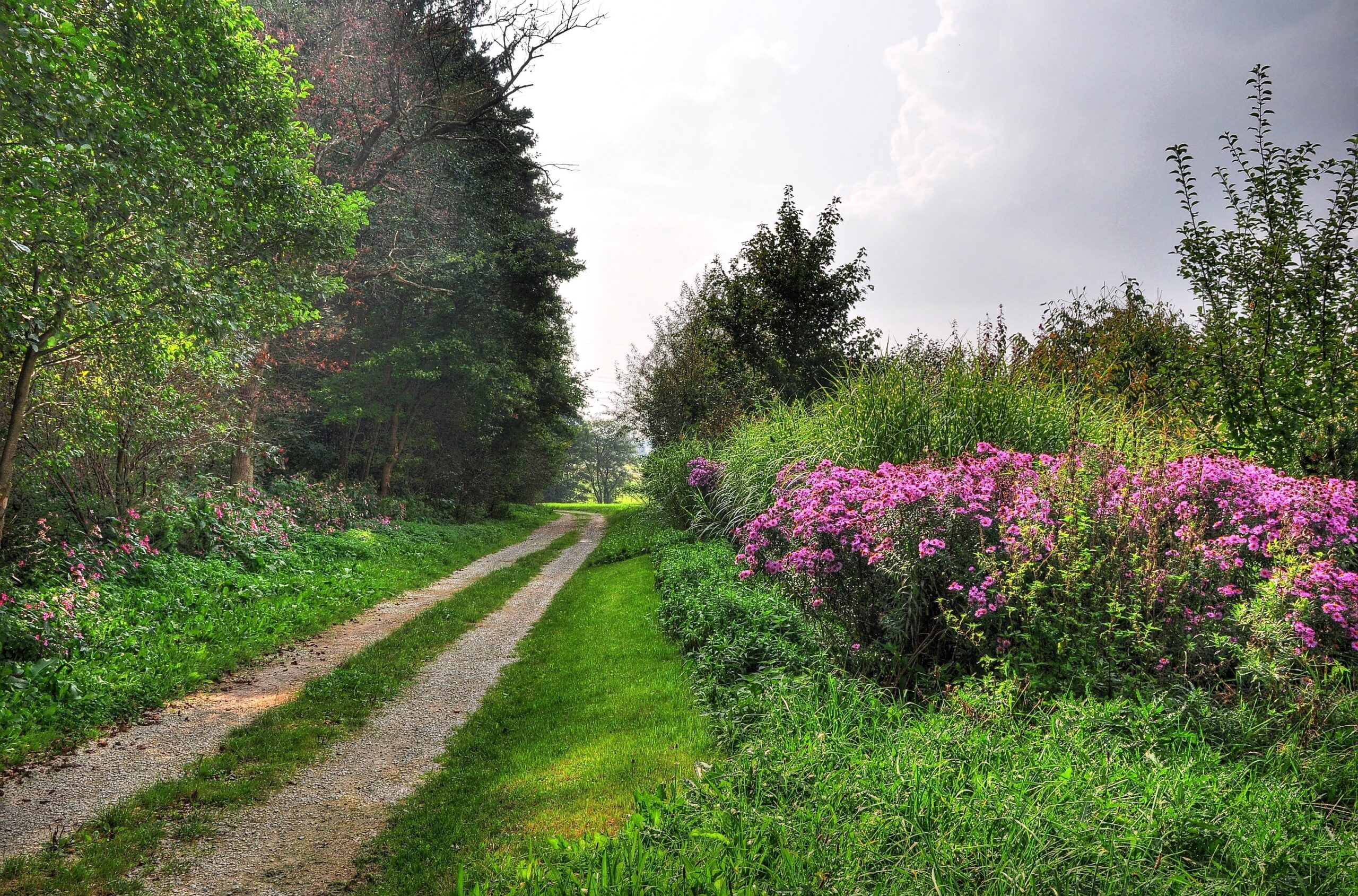 «Der Lebhag» von Meinrad Inglin: Ökologische Didaktik in Form einer ...